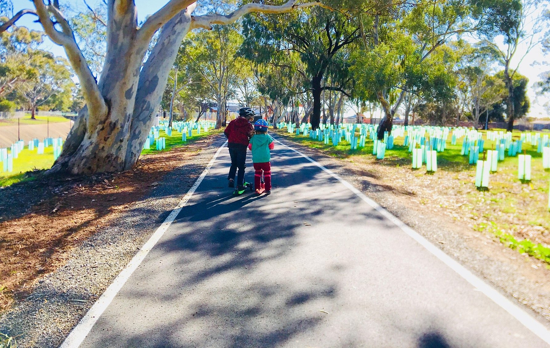 Sturt River Linear Park Pathway | Your Holdfast